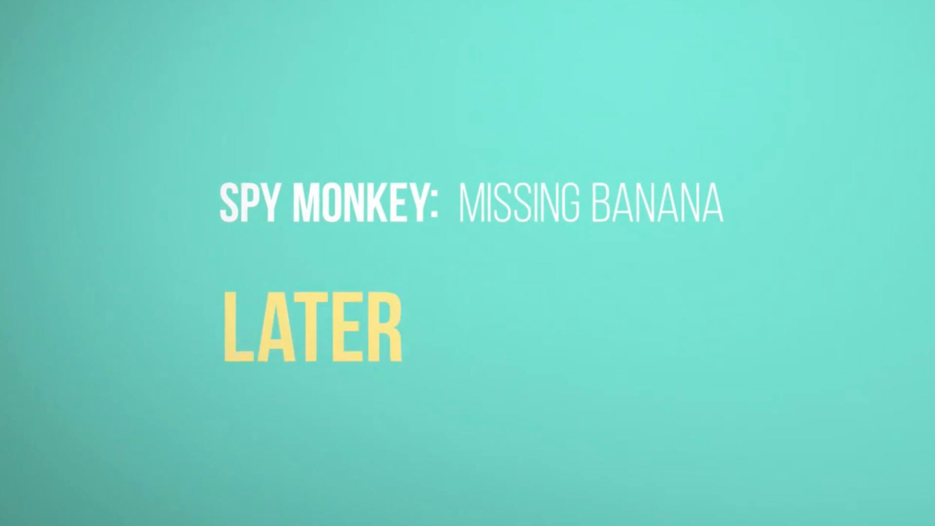 Flip Pack video templates | Artlist