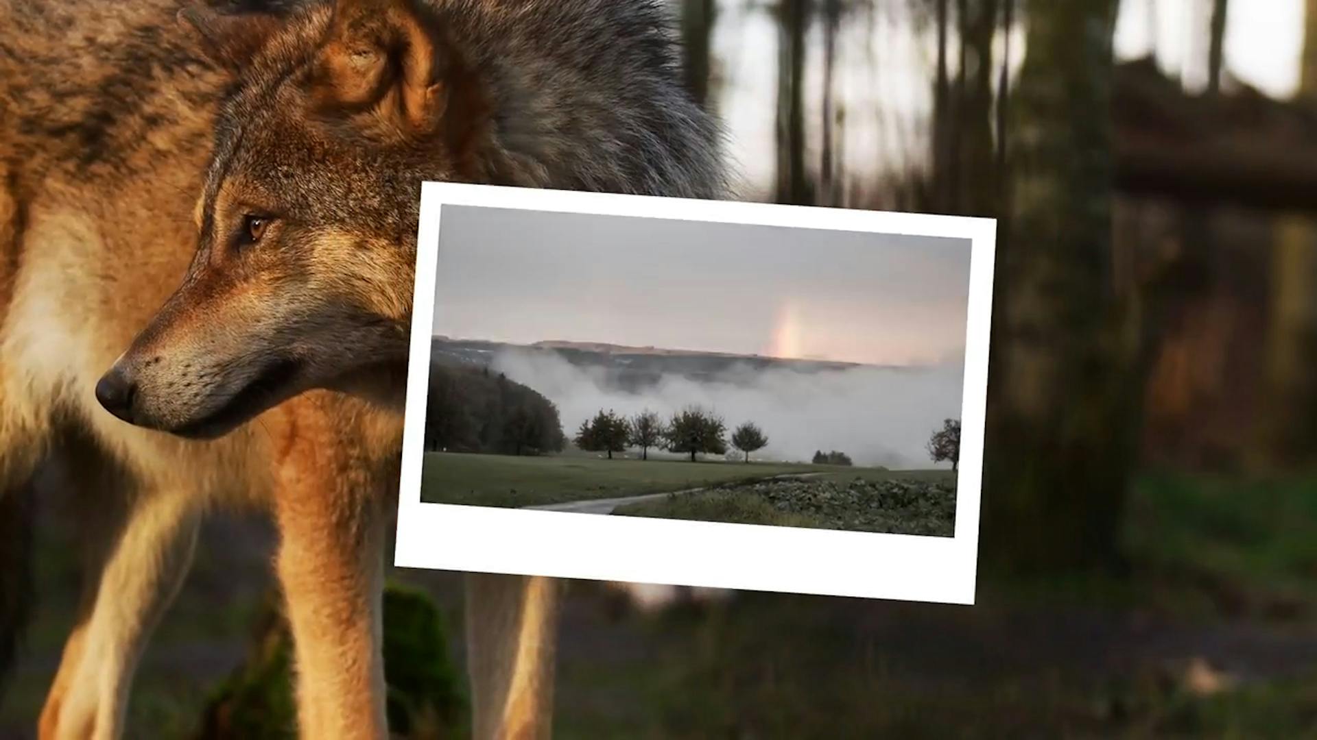 Photo Transitions video templates | Artlist