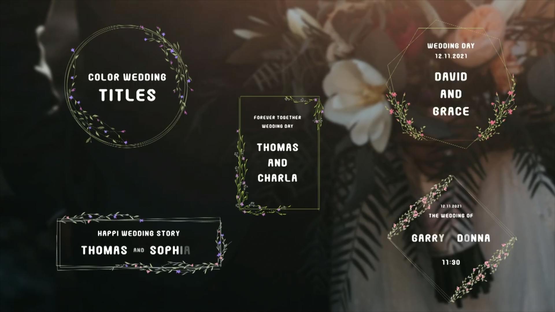 Color Wedding Titles video templates | Artlist