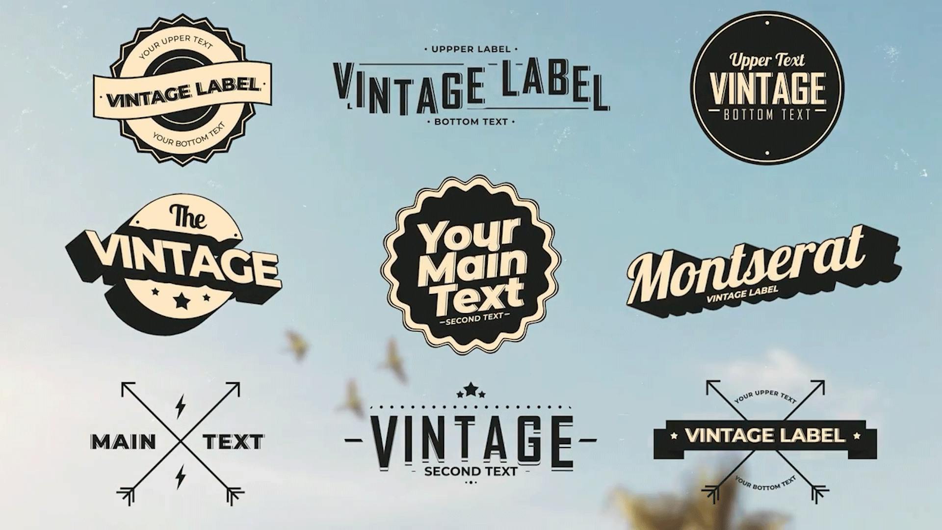 Funky Labels video templates | Artlist