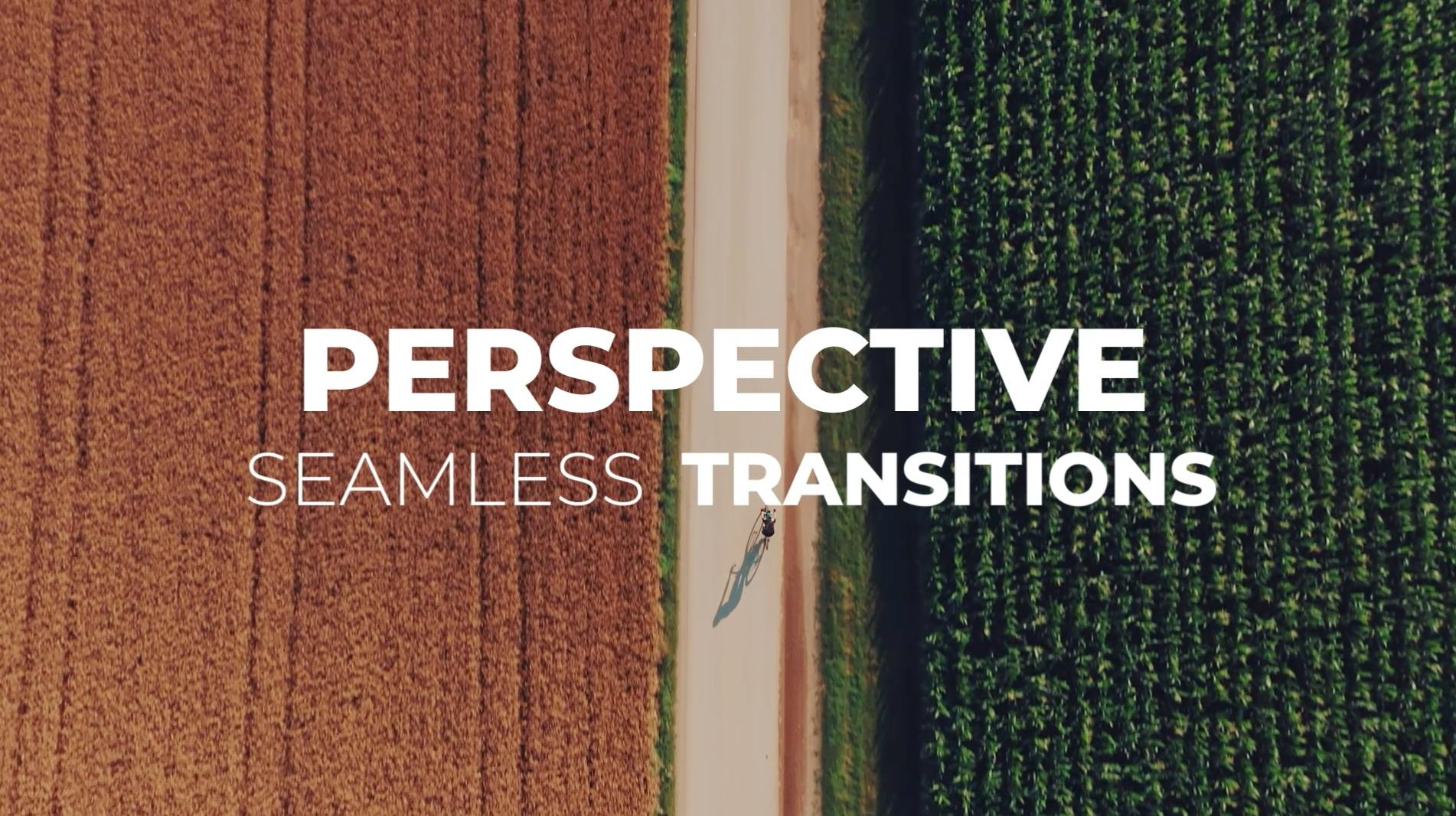 Perspective Seamless Transitions video templates | Artlist